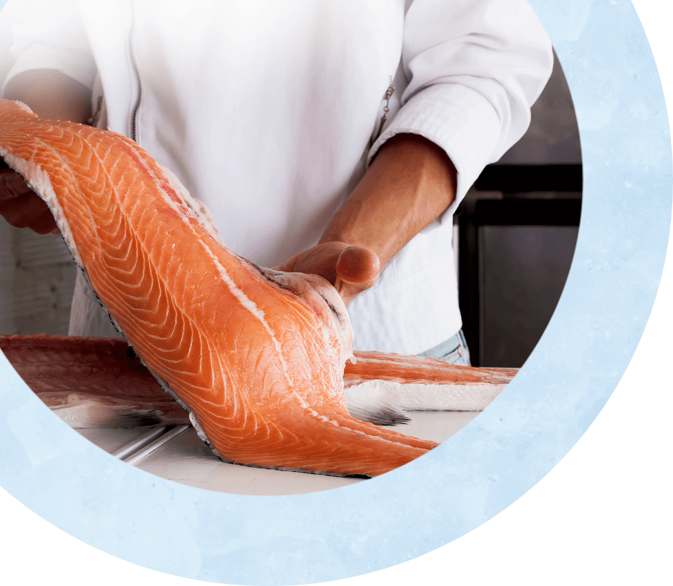 Ark Seaatrium – Sustainably Sourced Seafood