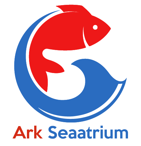 Ark Seaatrium – Sustainably Sourced Seafood